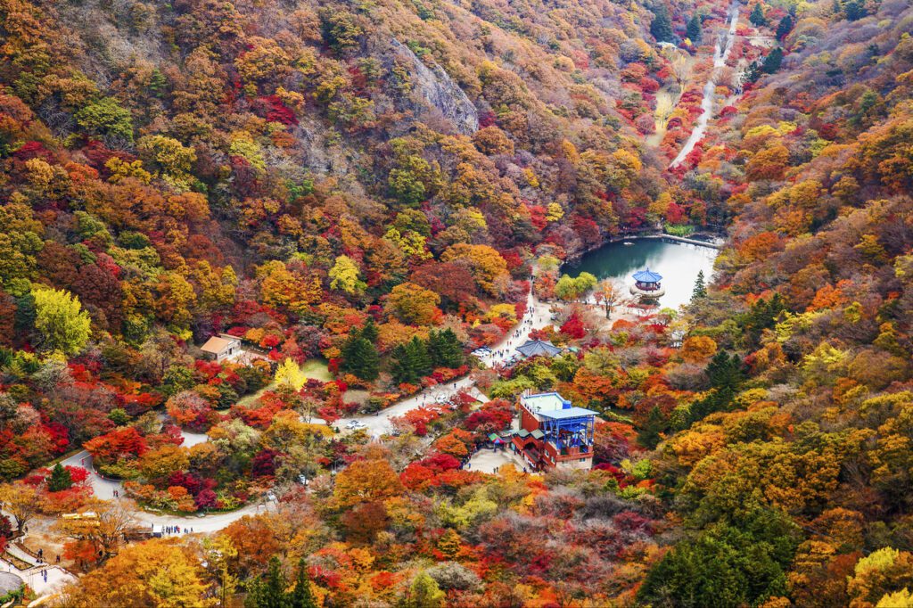 Autumn In Seoul | 16 Spectacular Places To Visit In Seoul During Autumn ...