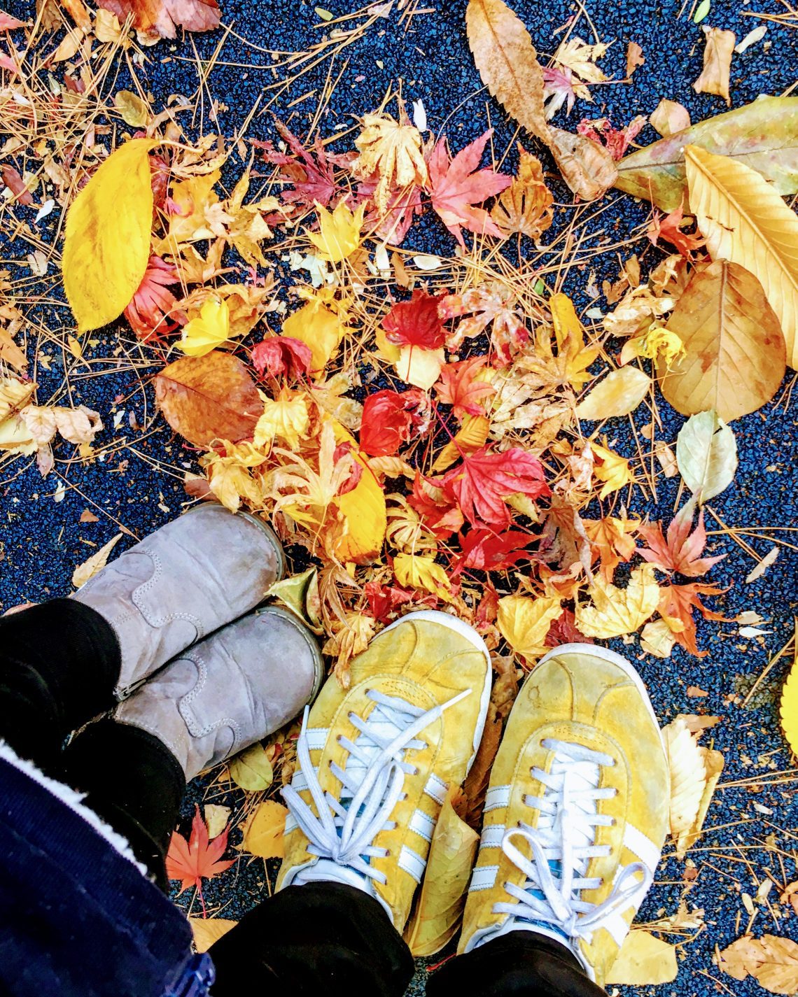 Autumn In Korea Forecast 2025 | 48 Exceptional Places To See ...