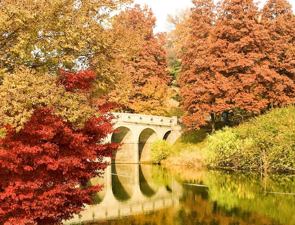 Autumn In Seoul | 17 Spectacular Places To Visit In Seoul During Autumn ...