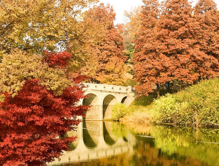Autumn In Seoul | 17 Spectacular Places To Visit In Seoul During Autumn ...