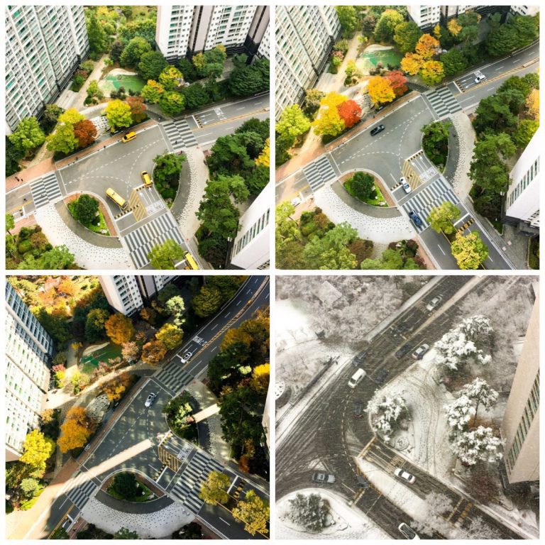 Autumn In Korea Forecast 2025 | 48 Exceptional Places To See ...