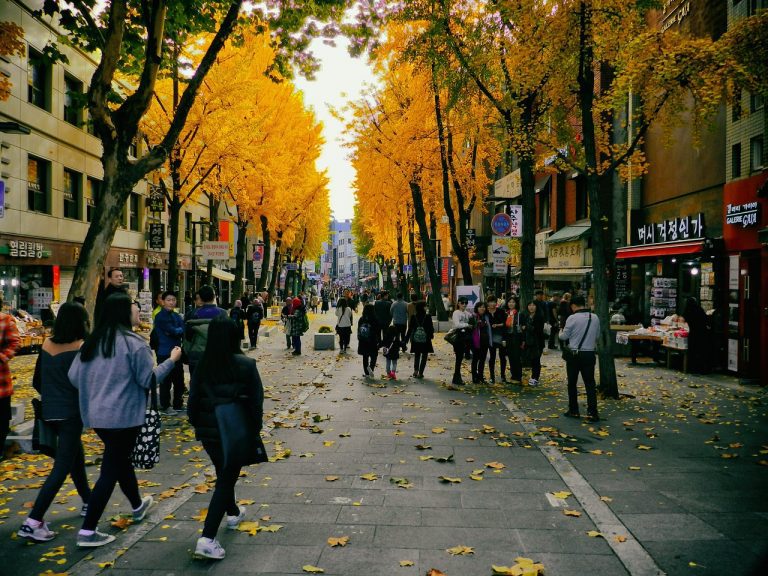 Autumn In Seoul | 17 Spectacular Places To Visit In Seoul During Autumn ...