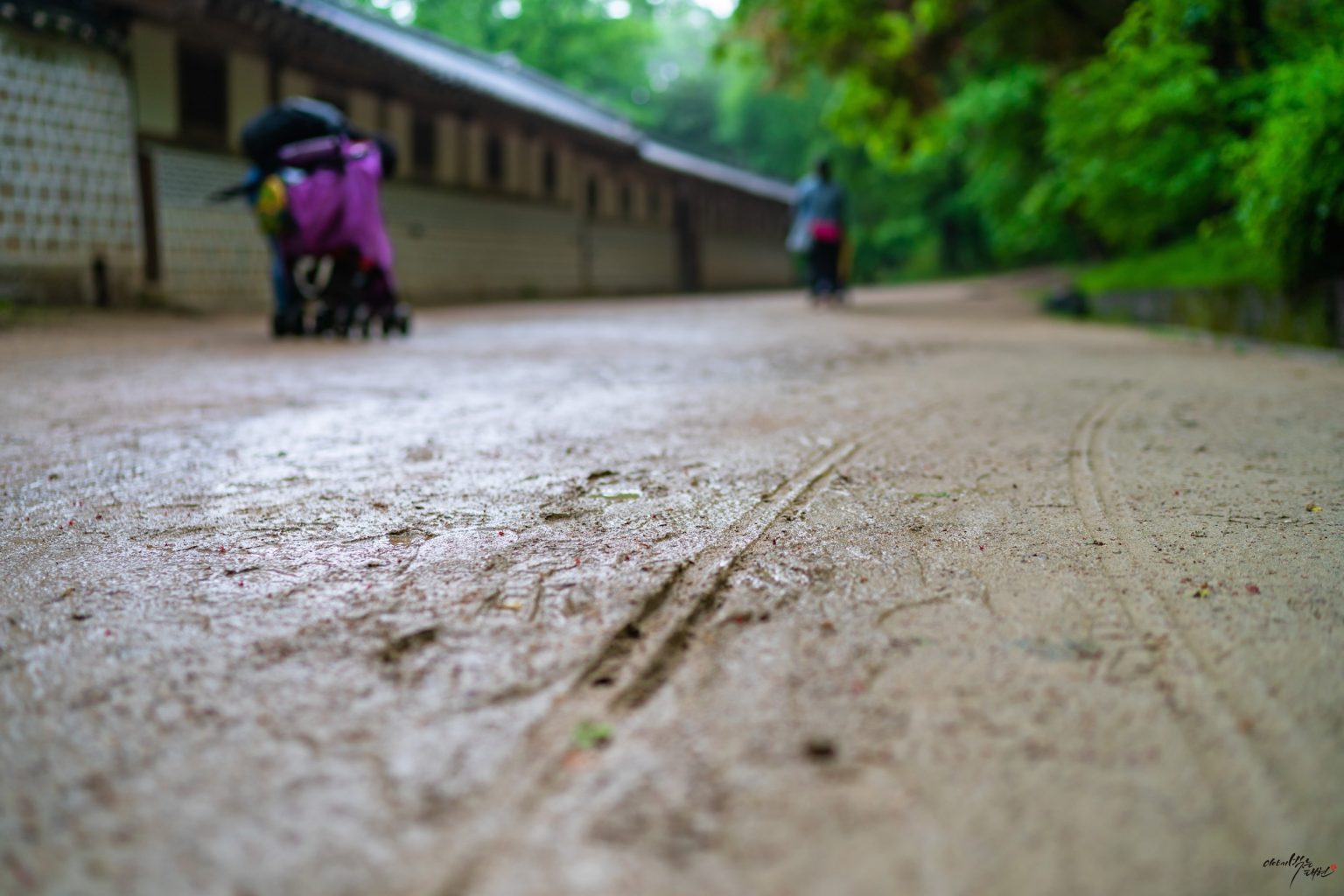 Spring In Korea 2026 | Weather, Best Spring Festivals, And Things To Do ...