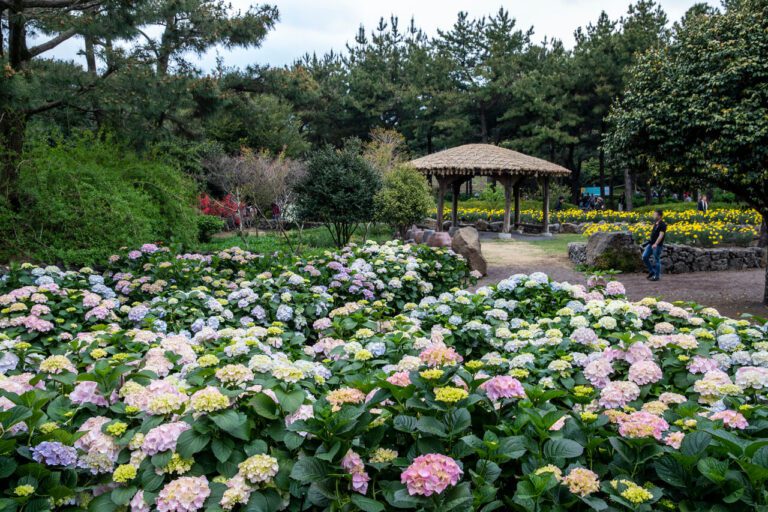 Korea In June 2026 Travel Guide | Lessons From 15 Years In Seoul ...