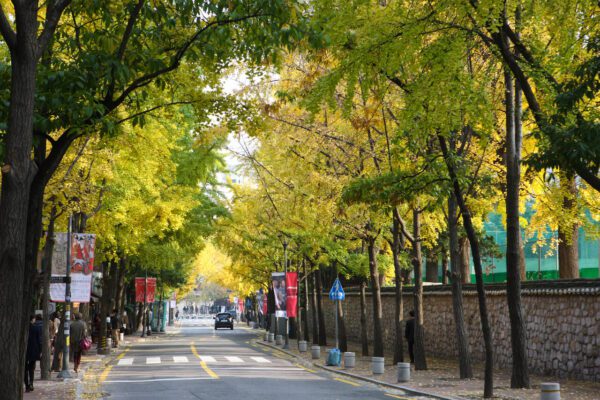 Korea In September 2024 | Local's Guide To Weather, Best Festivals And ...