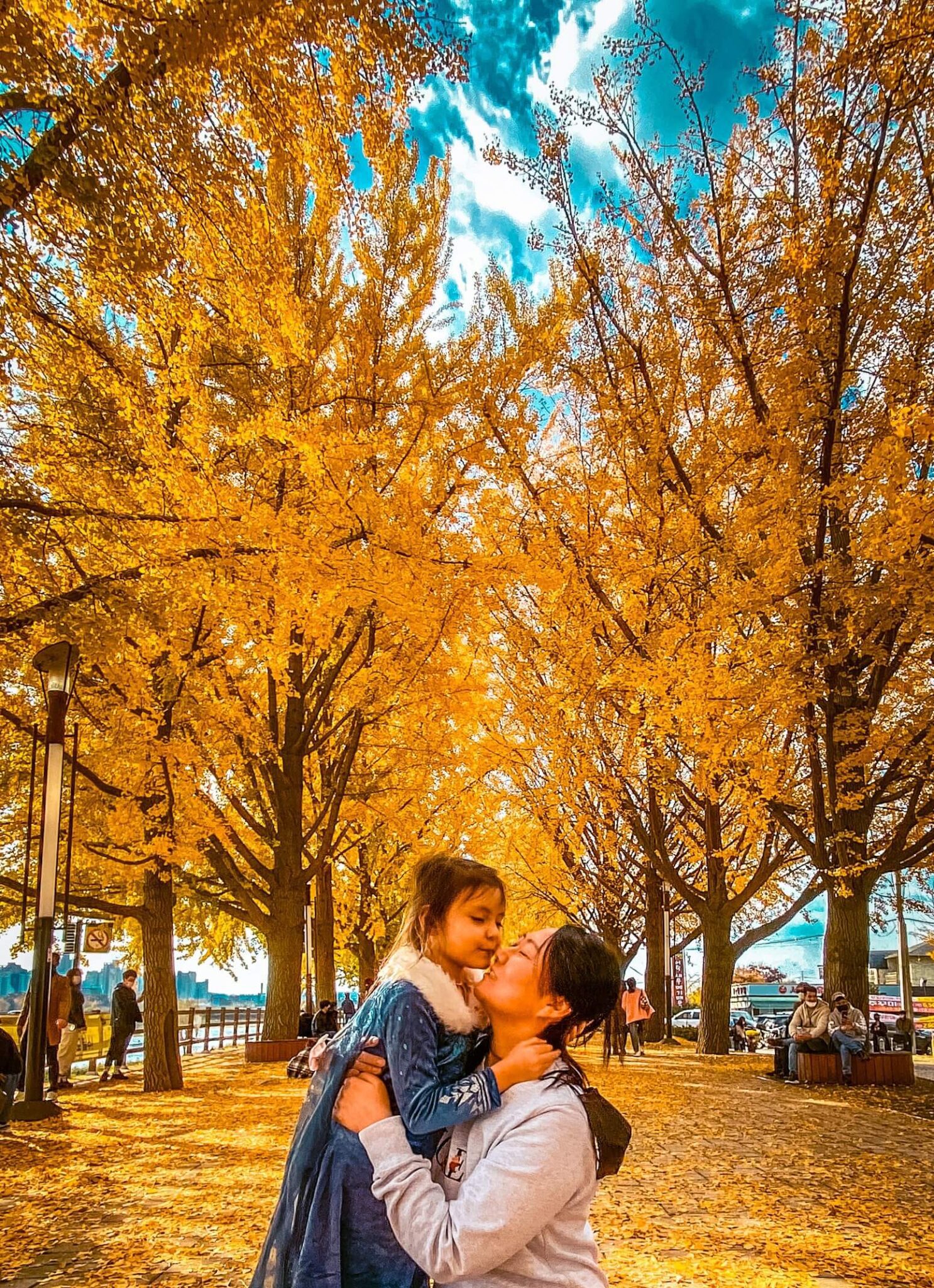 Autumn In Korea Forecast 2025 | 48 Exceptional Places To See ...