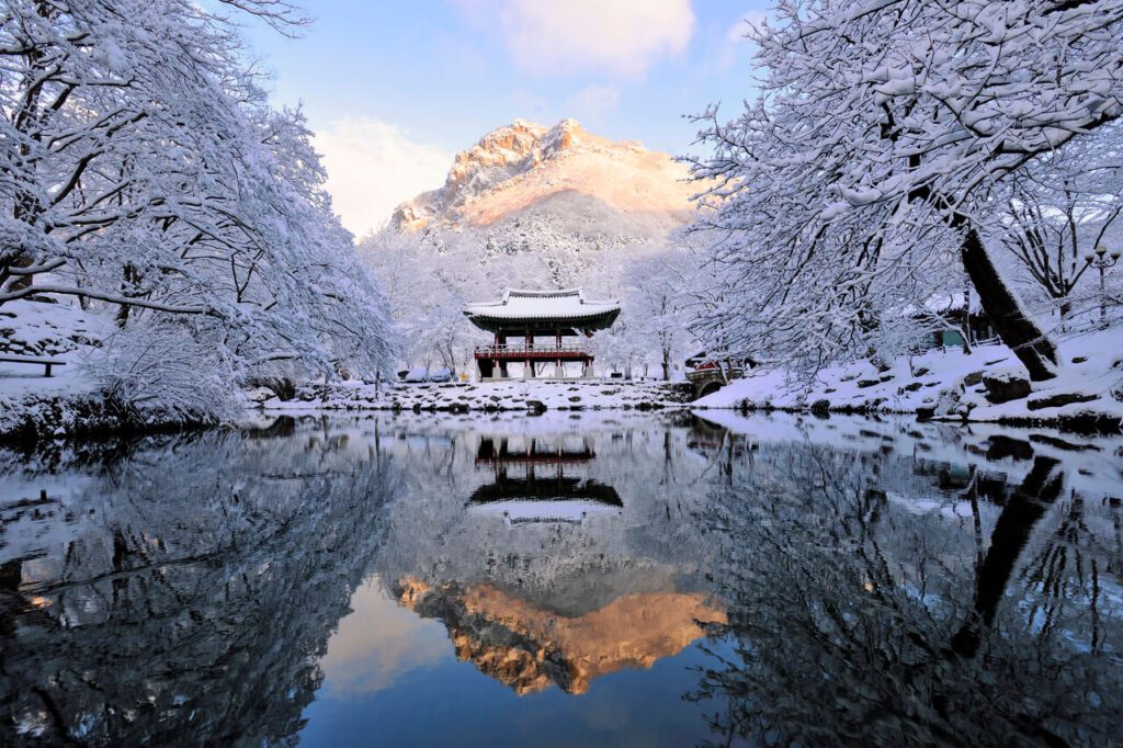 Korea In January 2025 | Local's Guide To Weather, What To Wear + Best ...