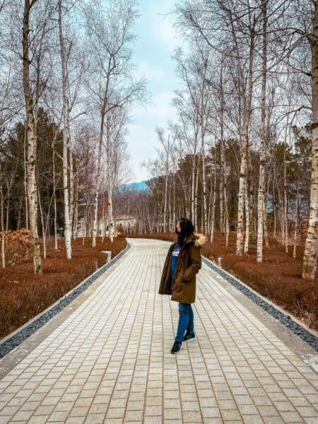 Korea In January 2025 | Local's Guide To Weather, What To Wear + Best ...
