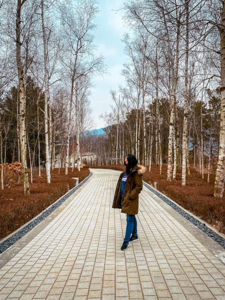 Korea In January 2025 | Local's Guide To Weather, What To Wear + Best ...