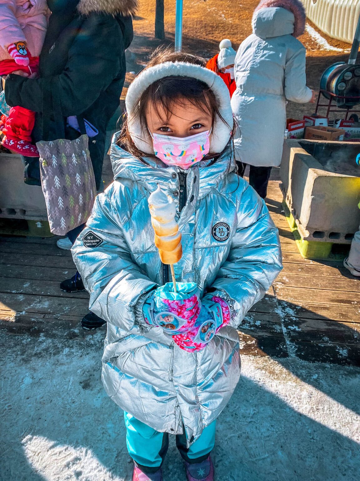 Vivaldi Park Snowy Land Guide 2025 / 26 | The Best Sled Park Near Seoul ...