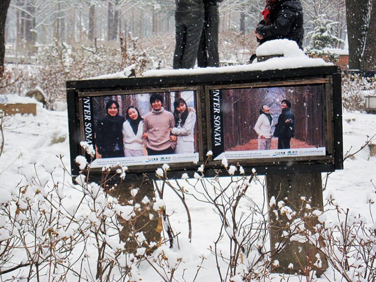 How To Survive Winter In Korea + 35 Incredible Winter Activities And ...