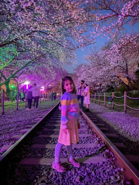 Spring In Korea 2026 | Weather, Best Spring Festivals, And Things To Do ...