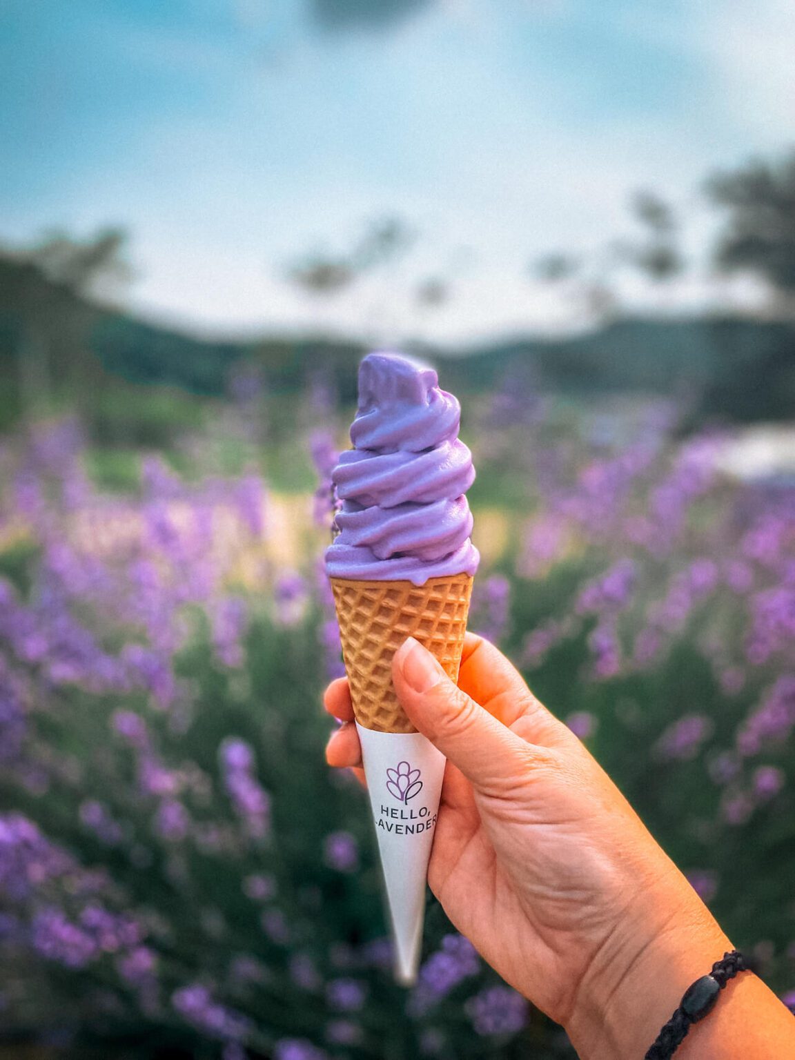 Korea In June 2026 Travel Guide | Lessons From 15 Years In Seoul ...