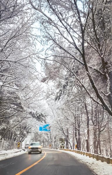 Visiting Korea In January 2026 | What I’ve Learned From Living In Seoul ...