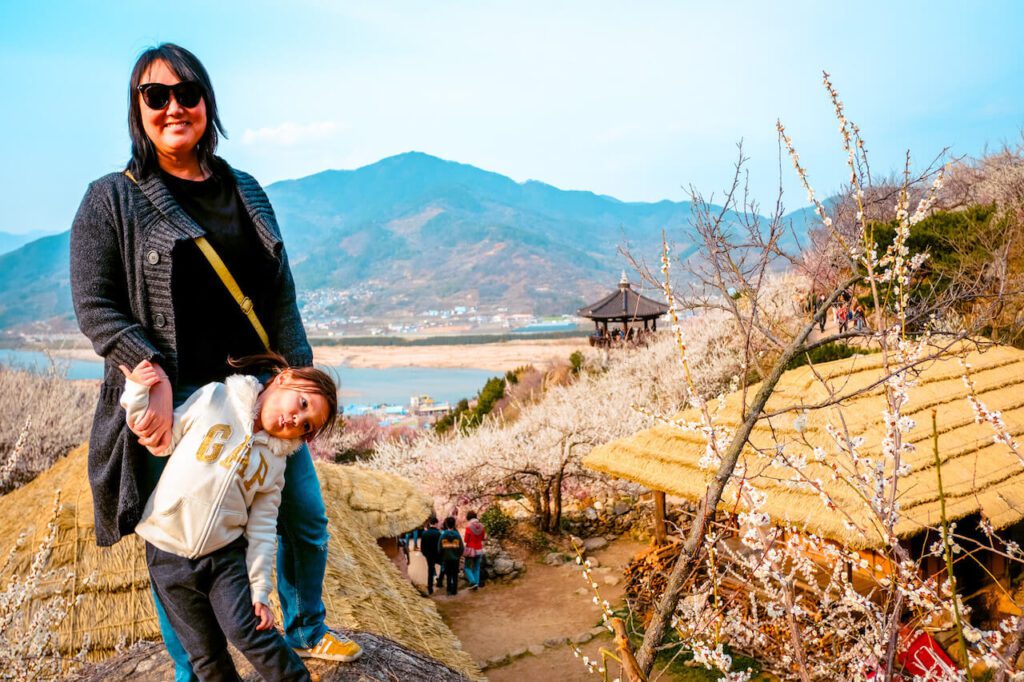 How To Visit The Gwangyang Maehwa Festival 2026 | Korea's First Spring ...