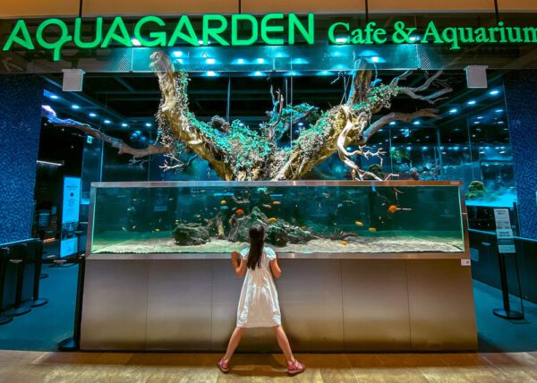 Aquagarden Cafe And Aquarium In Seoul | Lost In A Surreal Underwater ...