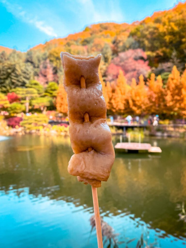 Hwadam Botanic Garden Is A 4-Season Beauty, But Autumn Is TRULY ...