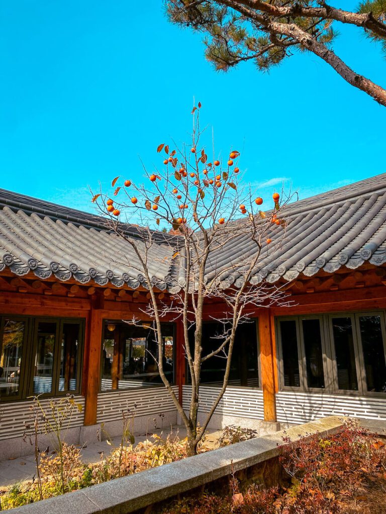 Hwadam Botanic Garden Is A 4-Season Beauty, But Autumn Is TRULY ...