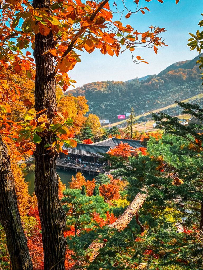 Hwadam Botanic Garden Is A 4-Season Beauty, But Autumn Is TRULY ...