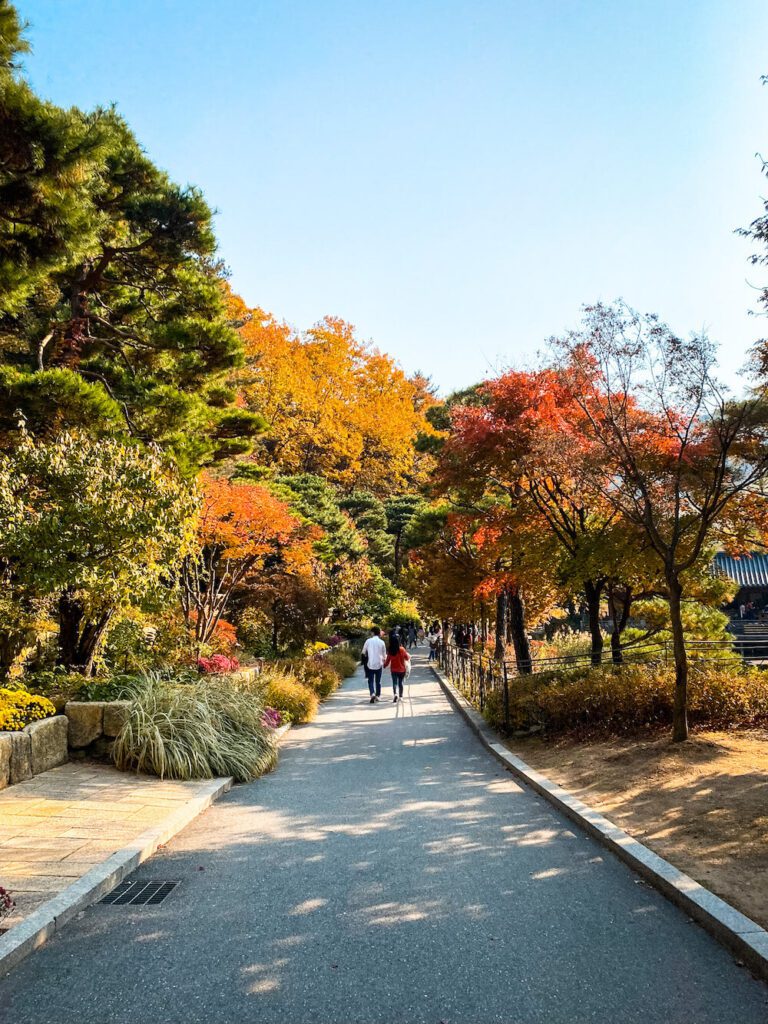 Hwadam Botanic Garden Is A 4-Season Beauty, But Autumn Is TRULY ...