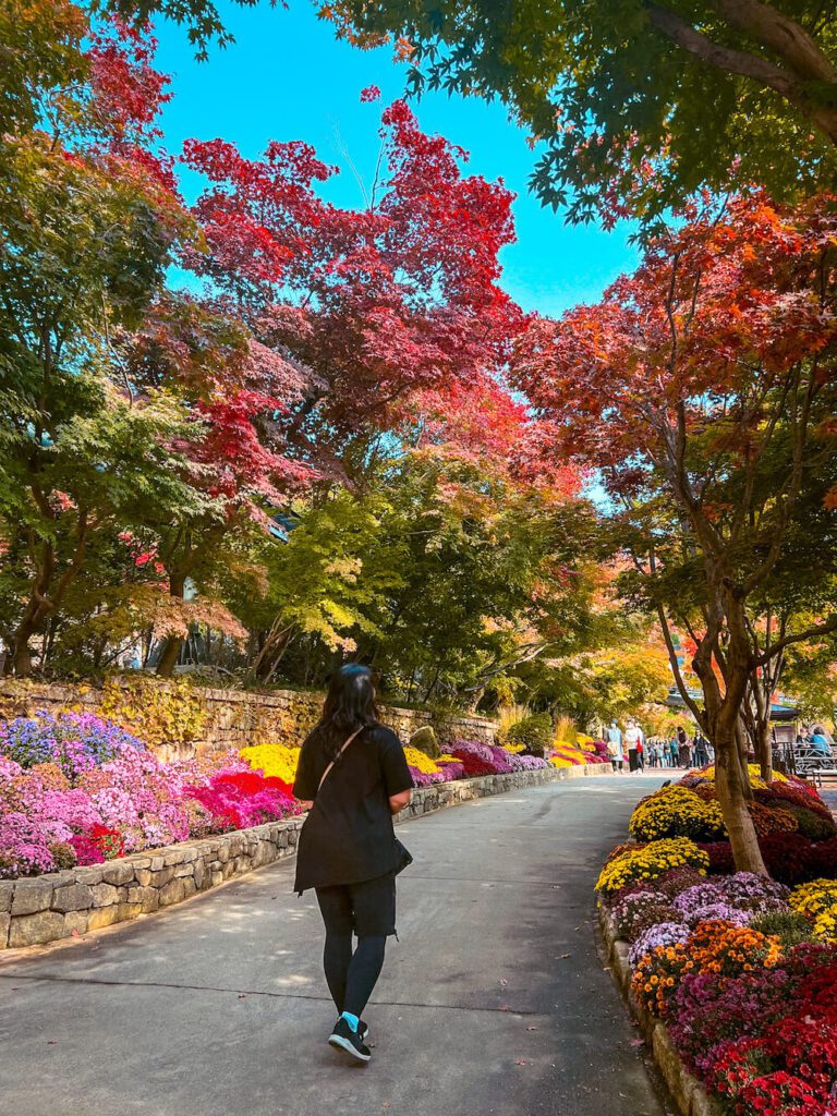 Hwadam Botanic Garden Is A 4-Season Beauty, But Autumn Is TRULY ...