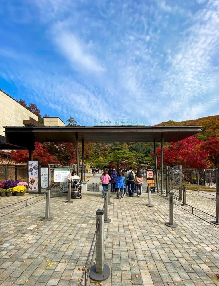 Hwadam Botanic Garden Is A 4-Season Beauty, But Autumn Is TRULY ...