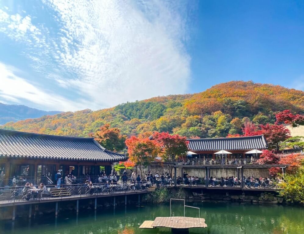 Hwadam Botanic Garden Is A 4-Season Beauty, But Autumn Is TRULY ...