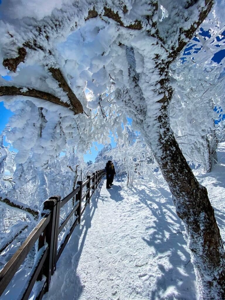The Balwangsan Cable Car And Skywalk At Yongpyong Resort | A ...