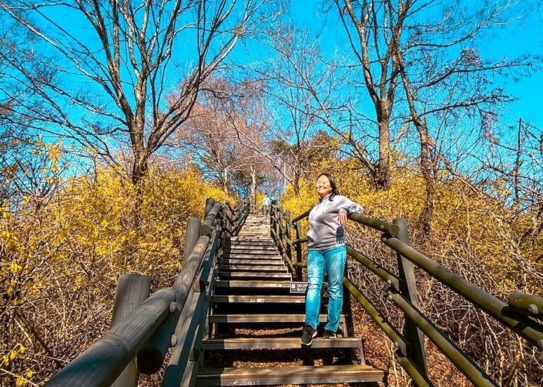 The Astonishing Ajumma | 7 Sure Signs You've Crossed Paths With An ...